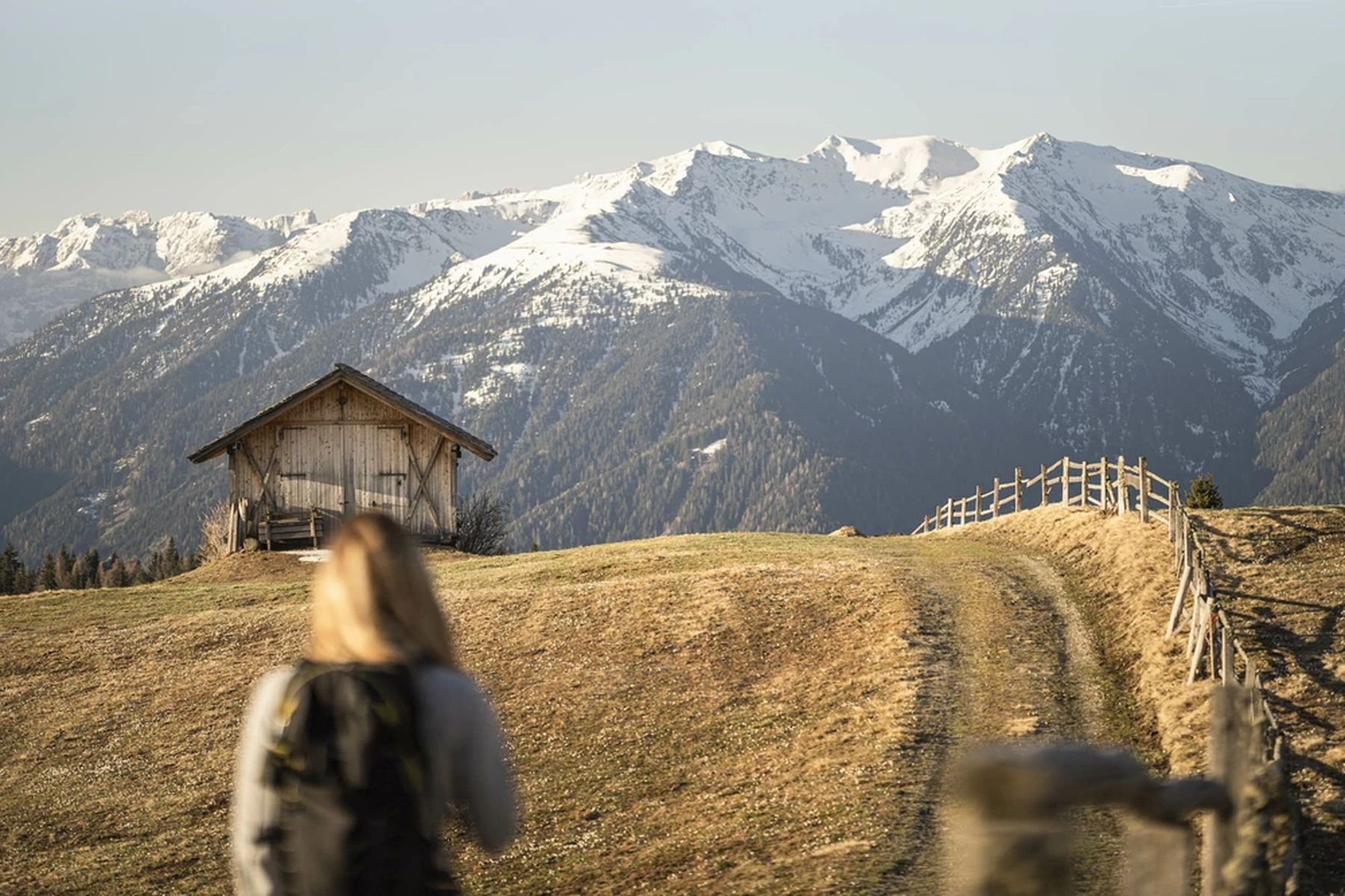 Your request has been sent successfully!